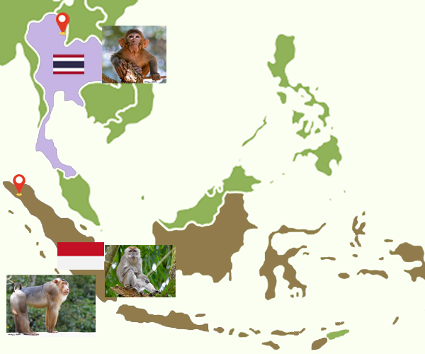 kyes se asia map_ - Washington National Biomedical Research Center