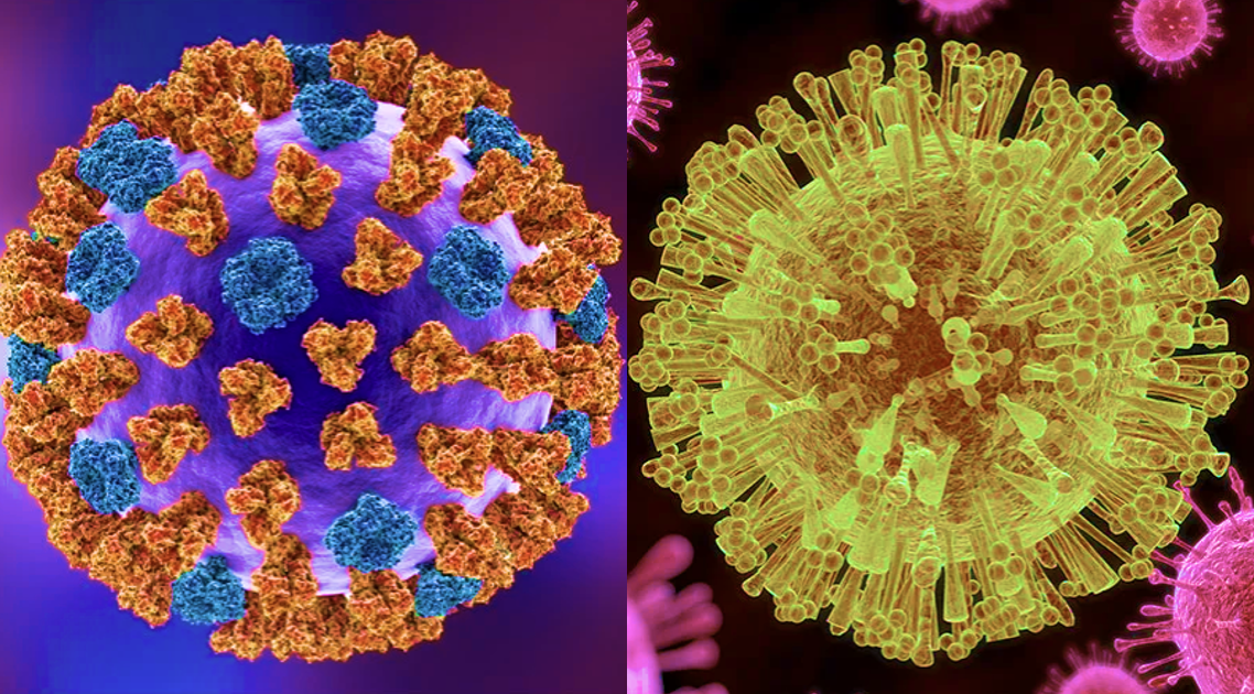 Infections in Pregnancy May Alter Brain Development - Washington ...